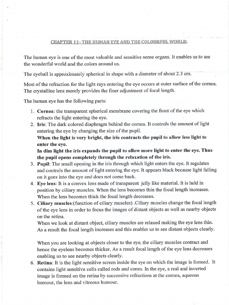 Chp11-Human Eye | PDF