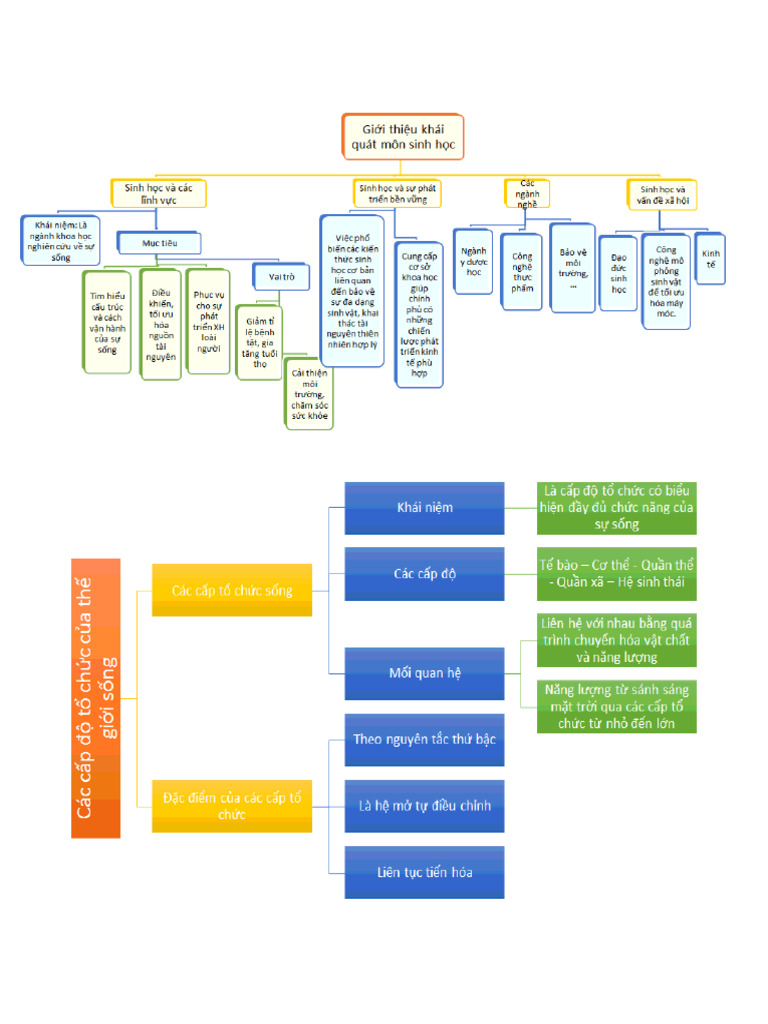 SƠ ĐỒ TƯ DUY | PDF