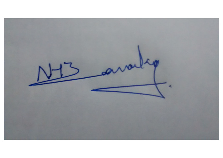 Nataraj Signature | PDF