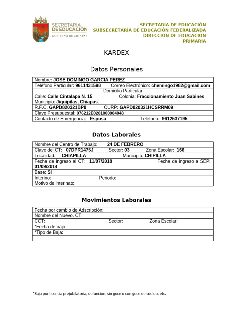 Formato de Kardex (2) | PDF