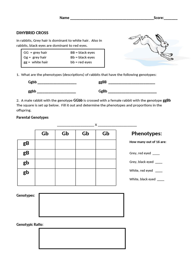 Dihybrid Cross in Rabbits: Genetics Guide | PDF
