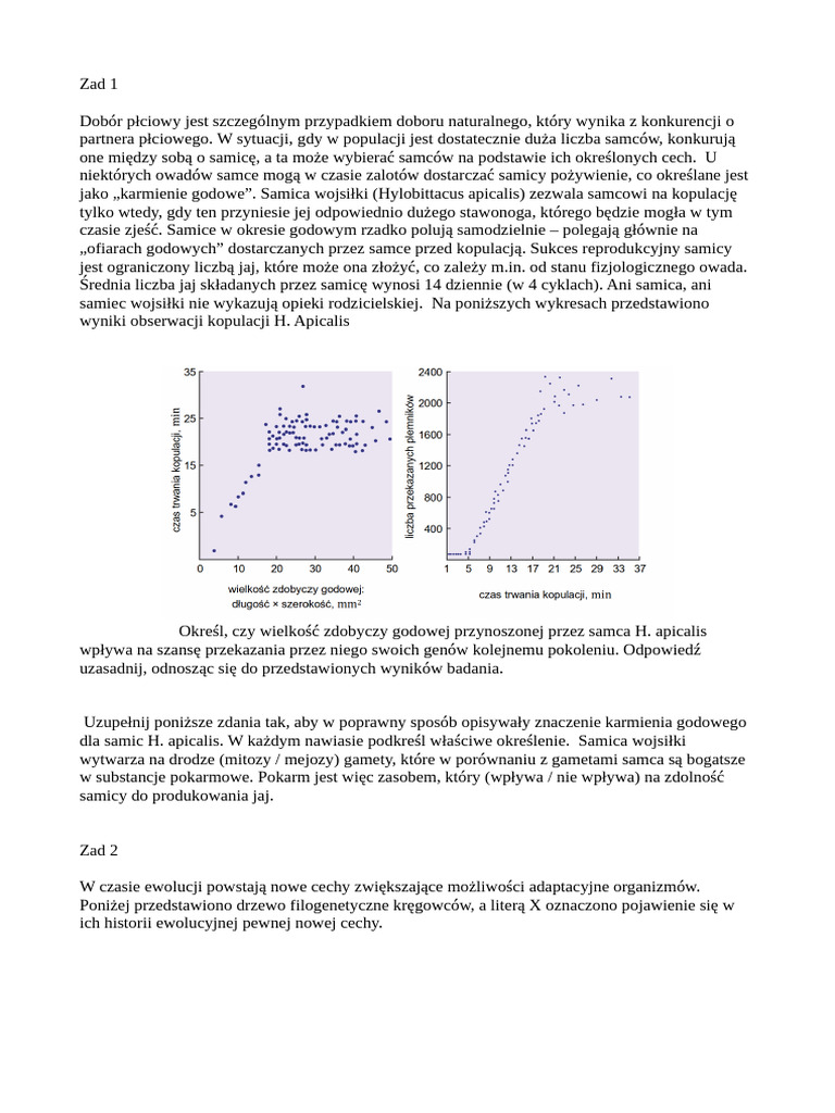 Ewolucjinizm Zad | PDF