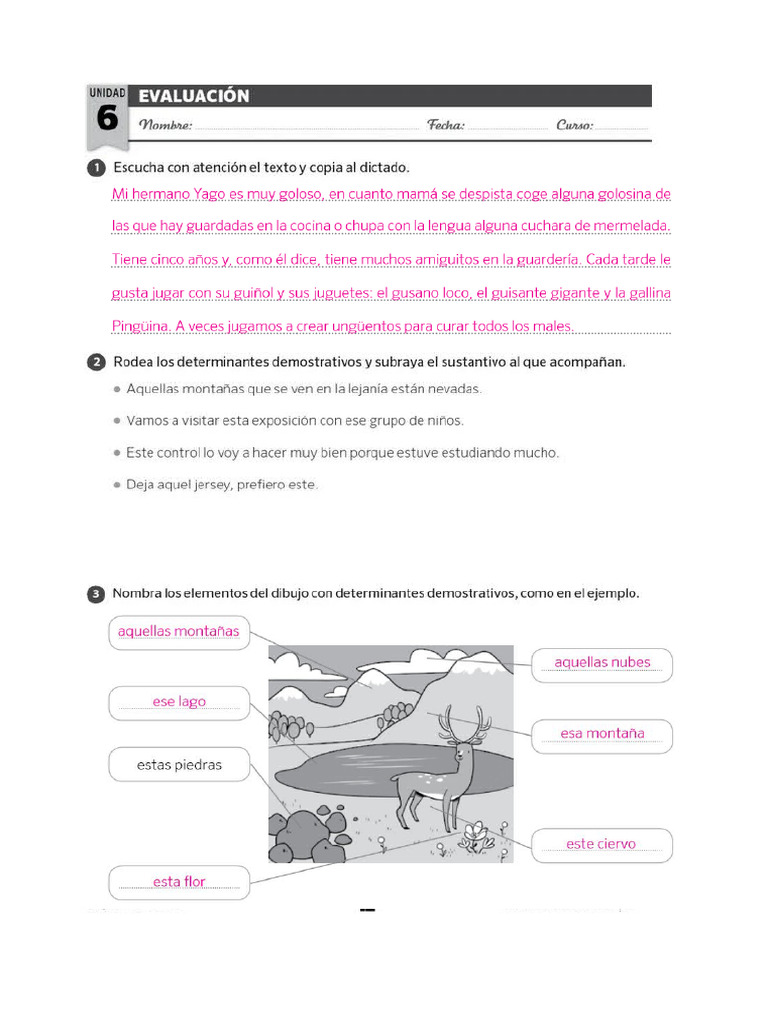 Unidad 6 Evaluación Con Solucionario | PDF