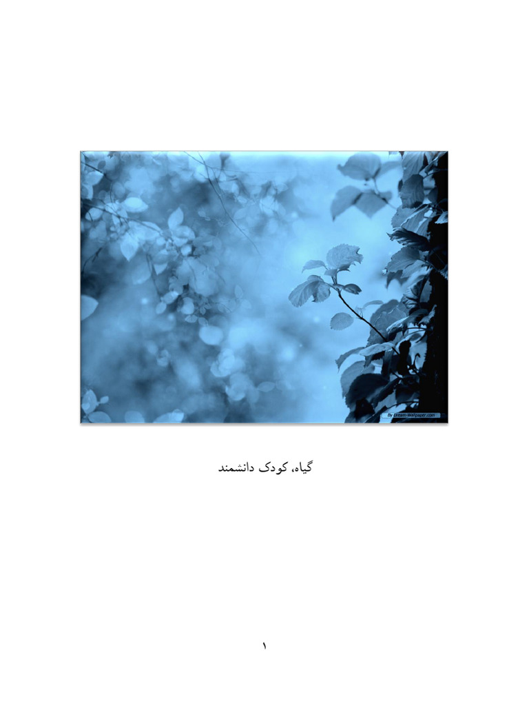 Giyath Koodake Daneshmand | PDF