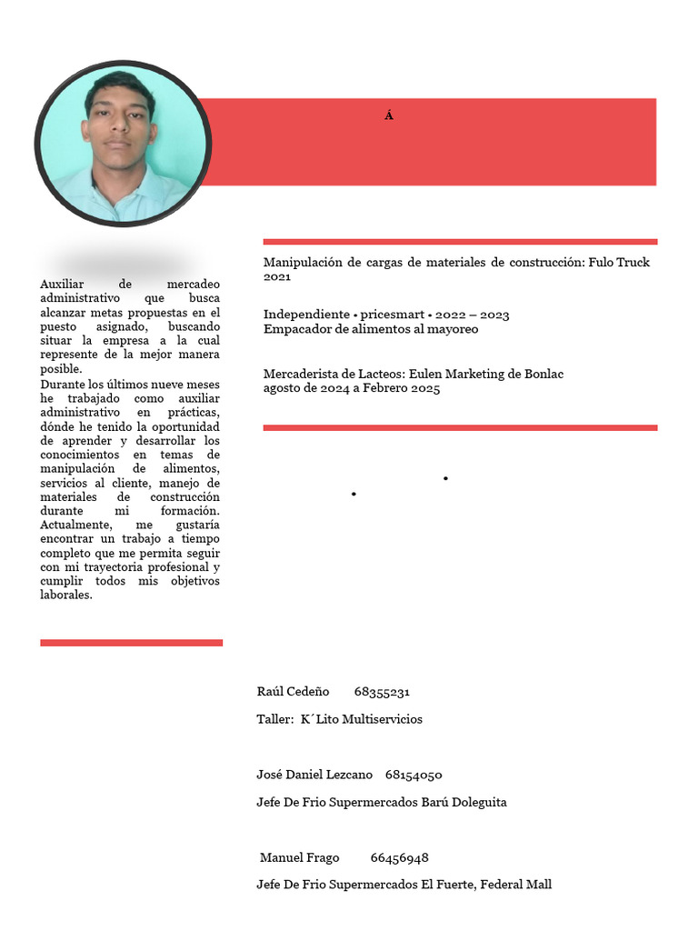 Perfil Profesional de Iván Arauz | PDF
