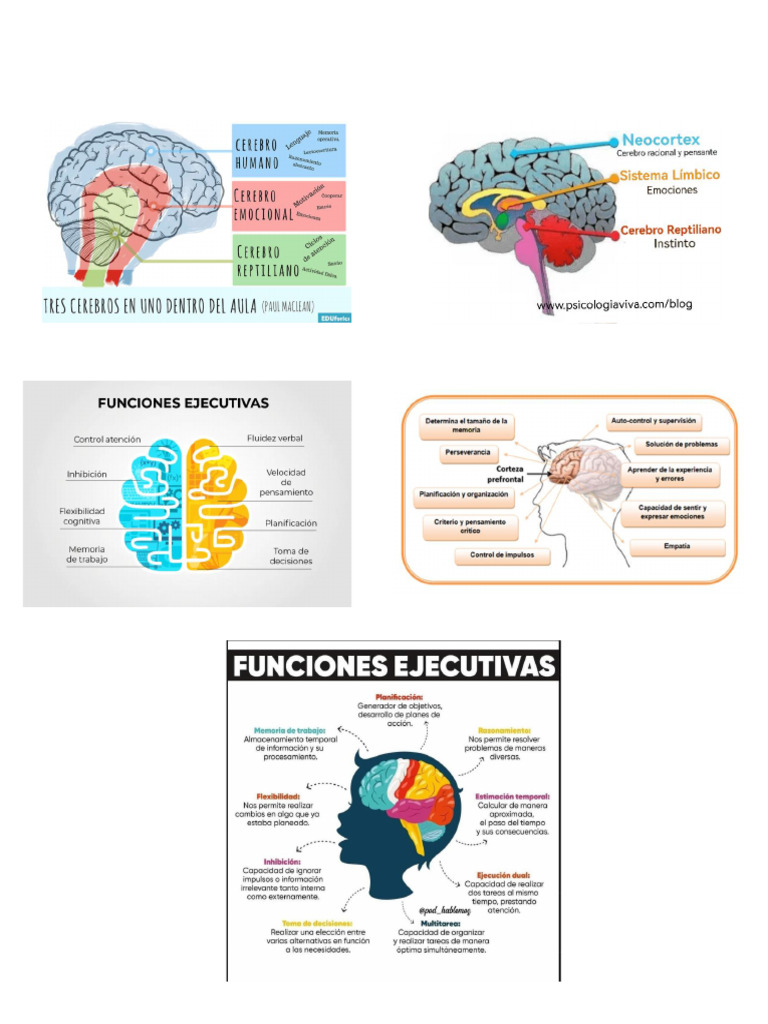 Funciones Ejecutivas | PDF