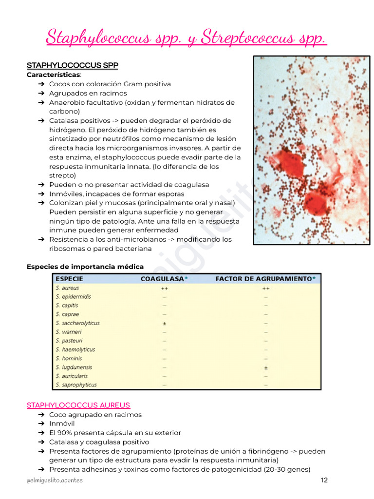 Bacterio Log I A | PDF | Staphylococcus Aureus | Sistema inmune