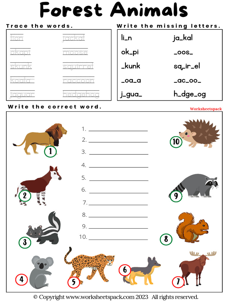 Forest Animals Worksheets Printable | PDF