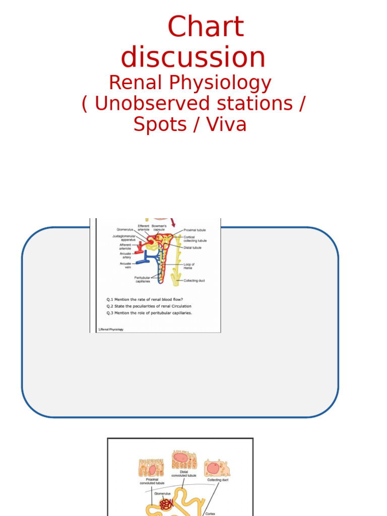 Charts Renal Physiology | PDF