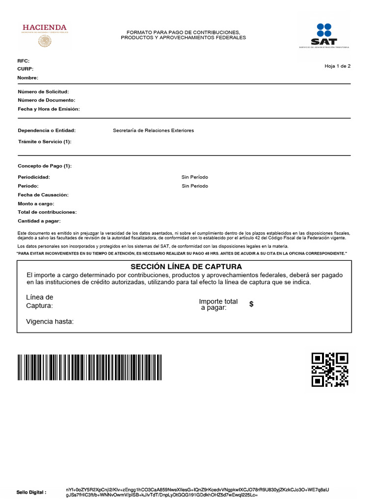 Boleta Pago Pasaporte | PDF