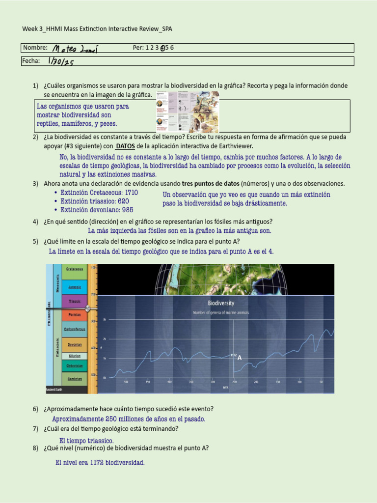 Week 3 HHMI Mass Extinction Interactive SPA | PDF | Biodiversidad ...