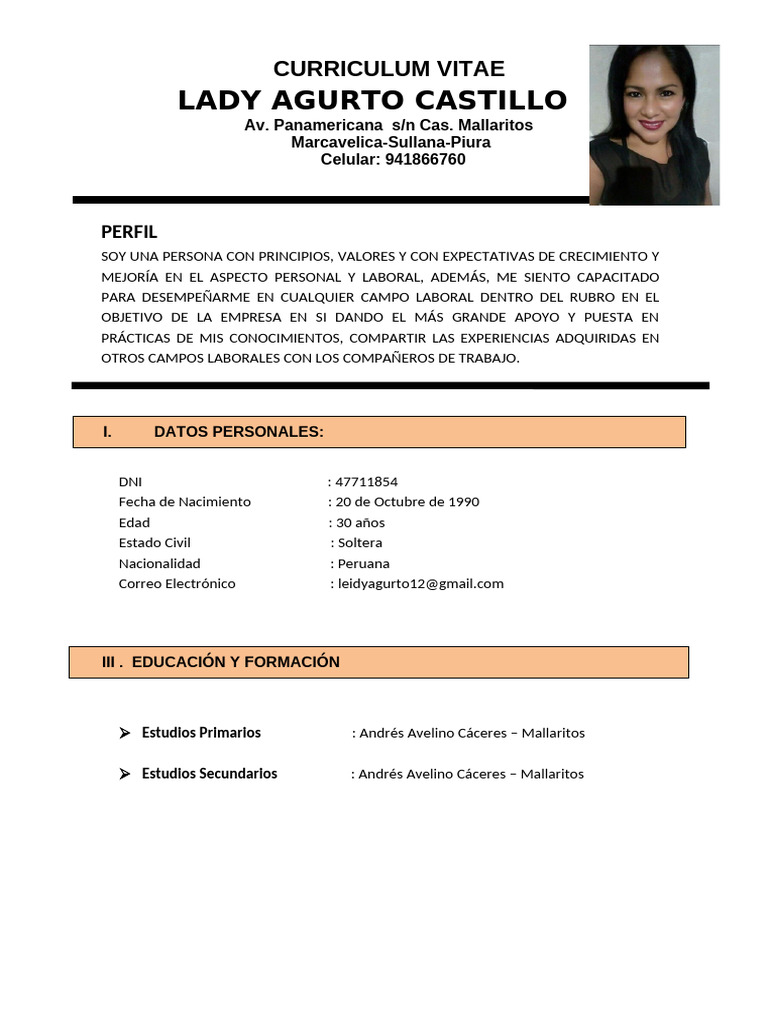 Curriculum Lady Agurto Castillo | PDF