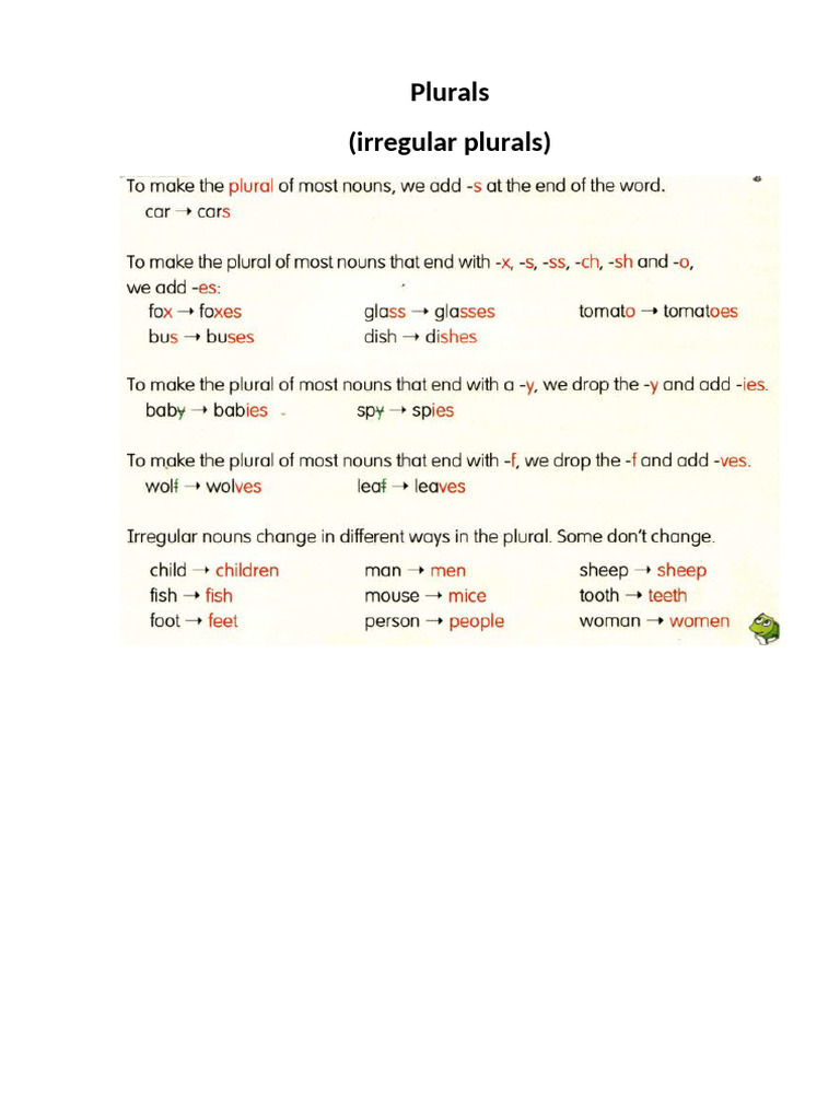 3 Plurals | PDF
