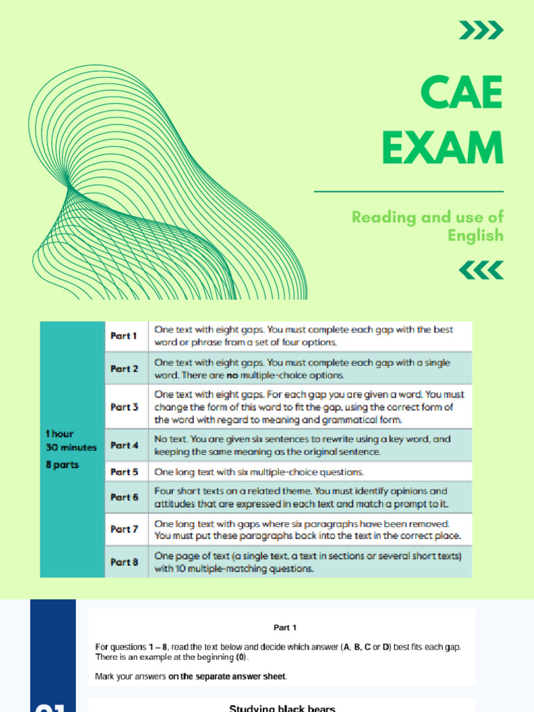 Cae Presentation | PDF