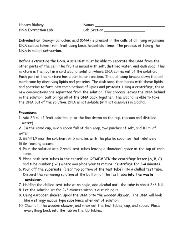 DNA Extraction Lab | PDF | Dna | Mixture