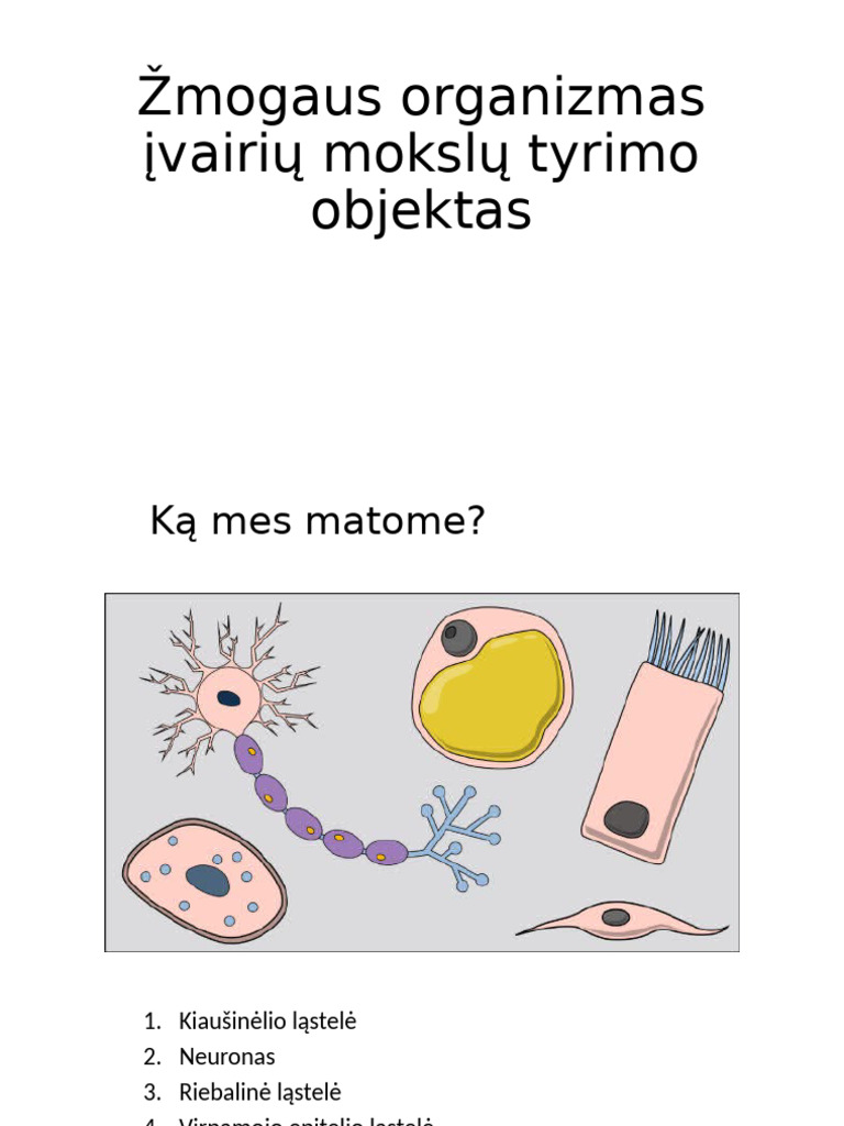 Žmogaus Organizmas Įvairių Mokslų Tyrimo Objektas | PDF