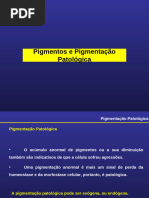 Pigmentação Dental por Bactérias Cromogênicas | PDF | Bactérias | Dente ...
