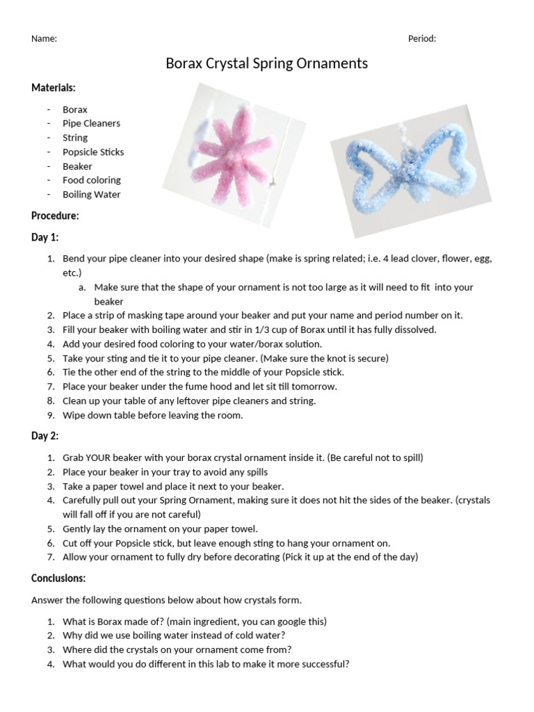 Borax Crystal Lab | PDF