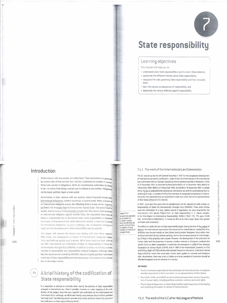 A. Abass_State Responsiblity | PDF