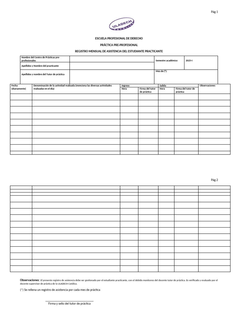 Formato 03. Esquema de Registro de Asistencia | PDF