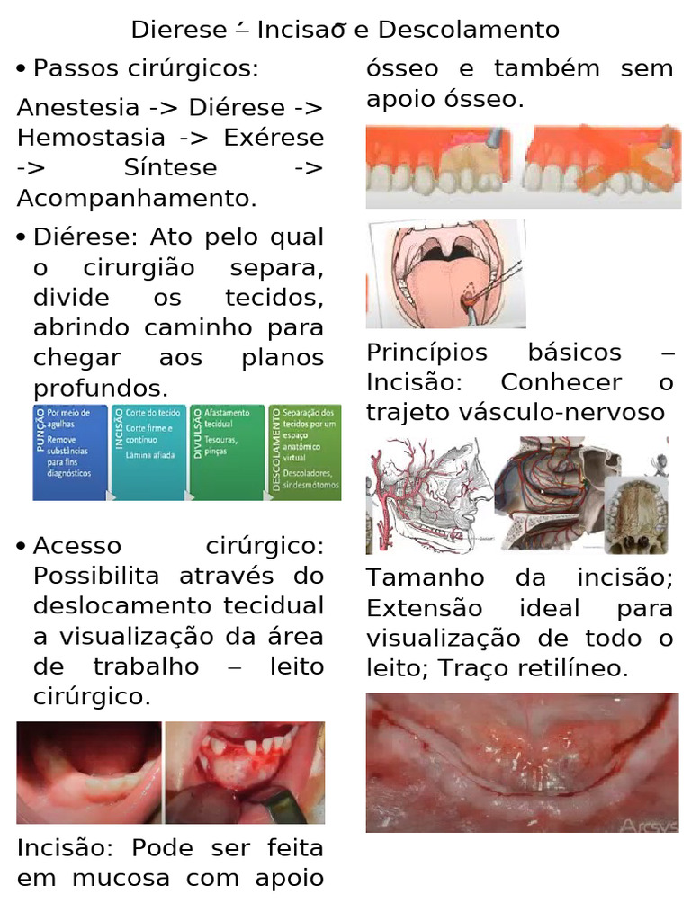 Resumo Técnica Cirúrgica Diérese | PDF | Dente humano