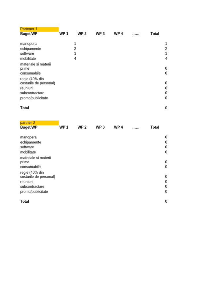 Buget Proiect - Per Partener | PDF