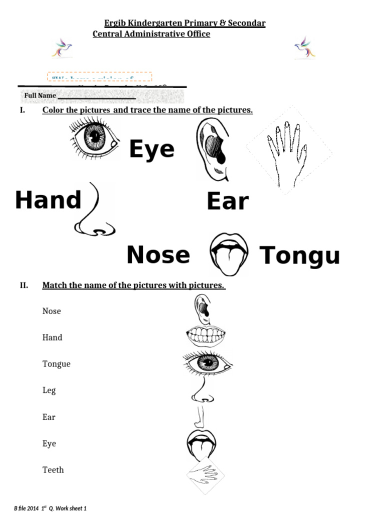 Kg2 General Science Work Sheet 1,2,3 | PDF