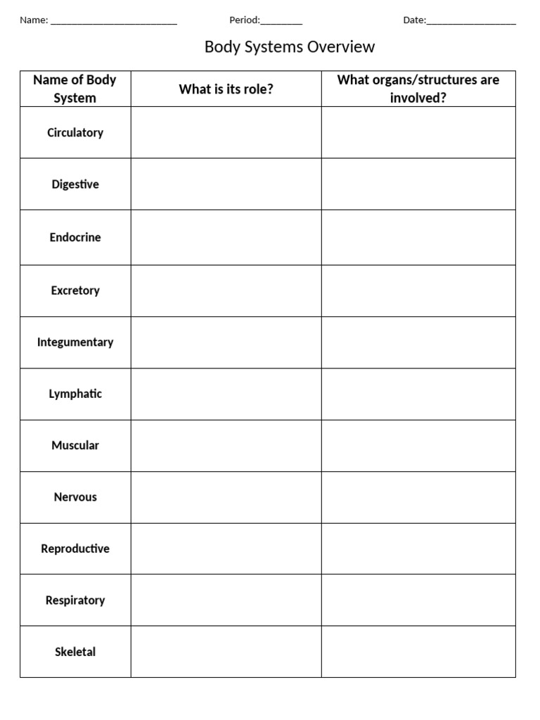 Body Systems and Homeostasis Overview | PDF | Homeostasis ...