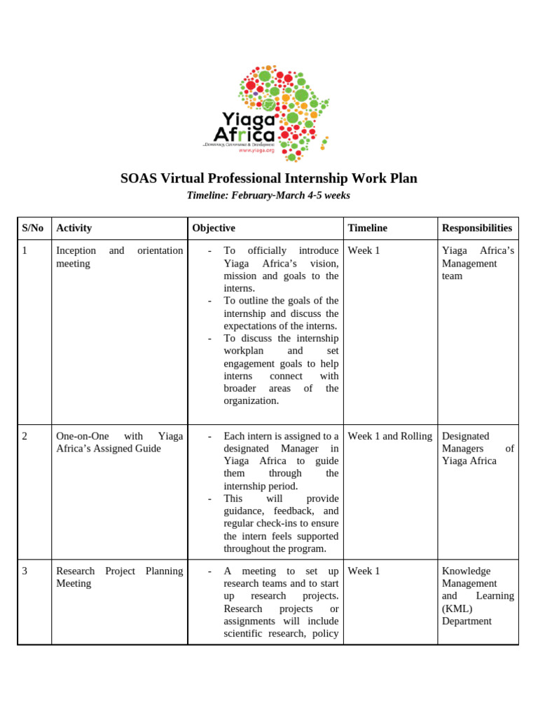 SOAS Virtual Professional Internship Plan | PDF | Cognition