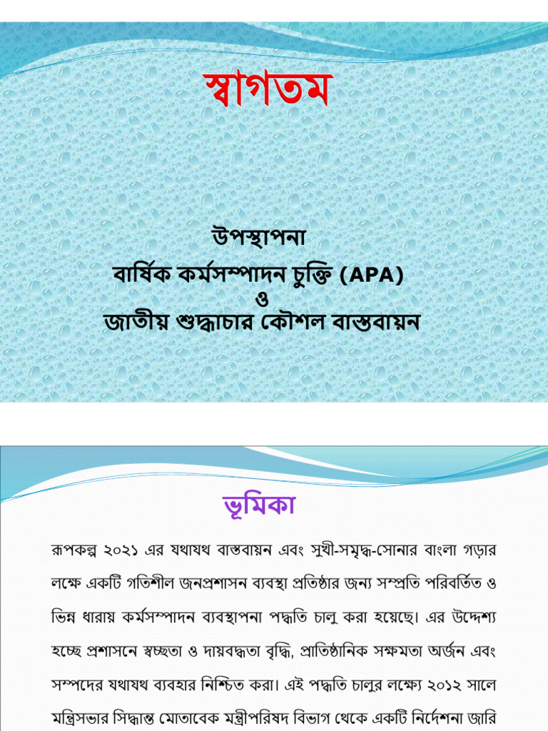APA & NIS PPT | PDF