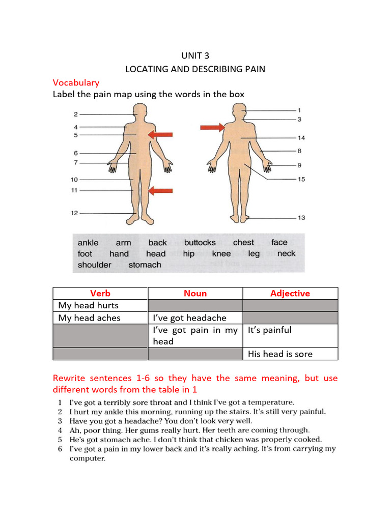 Understanding Pain Descriptions and Comparisons | PDF | Pain | Adjective