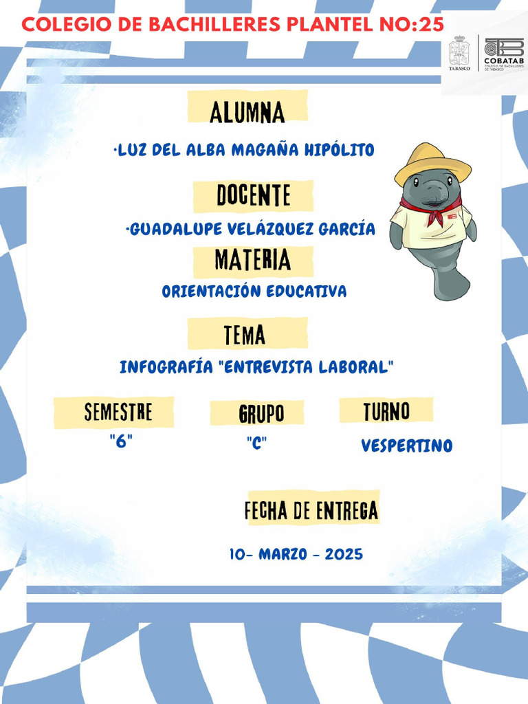 Infografía 6C | PDF