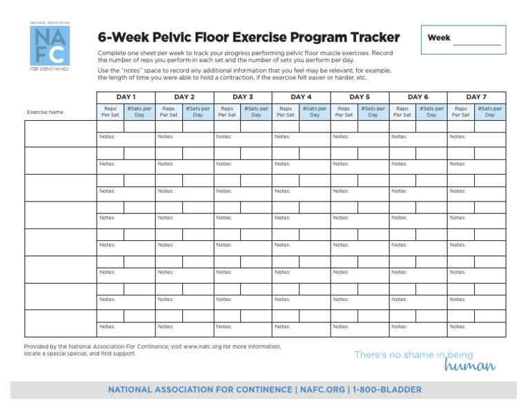 PelvicFloorExercise Tracker-Example | PDF | Urinary Incontinence | Urology