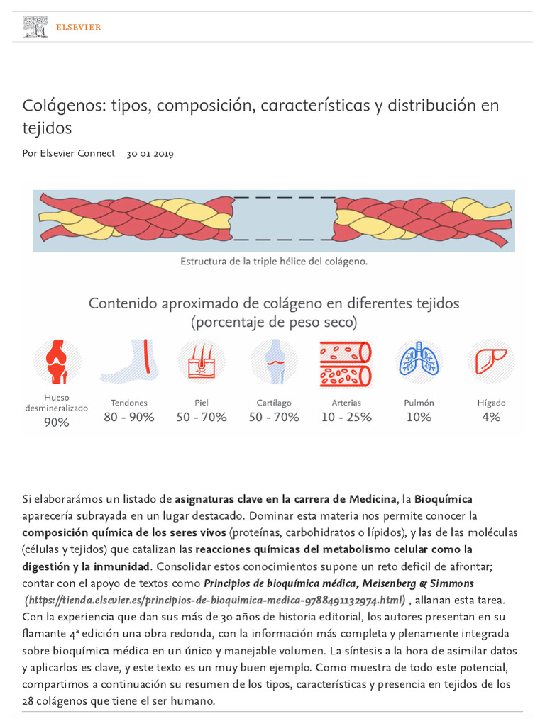 Colágenos: Tipos y Distribución en Tejidos | PDF | Colágeno | Aminoácidos