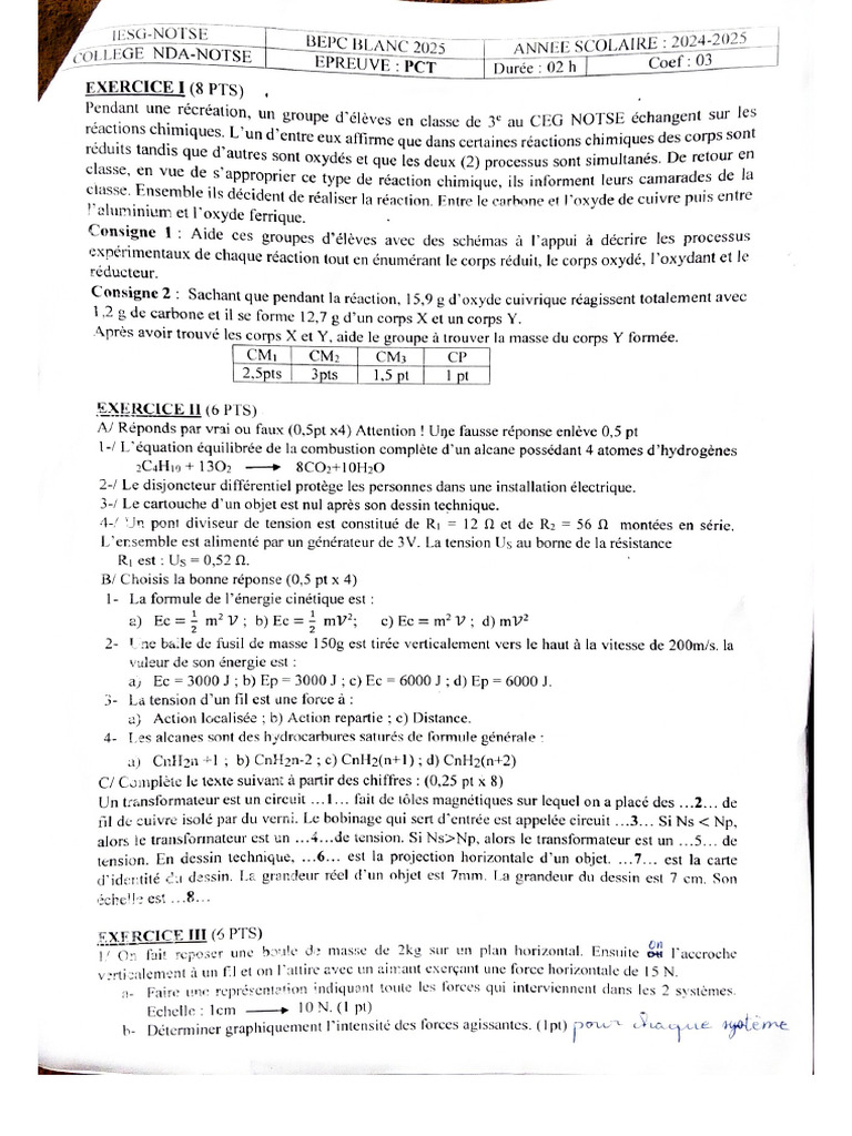 BEPC BLANC PCT(NDA) | PDF