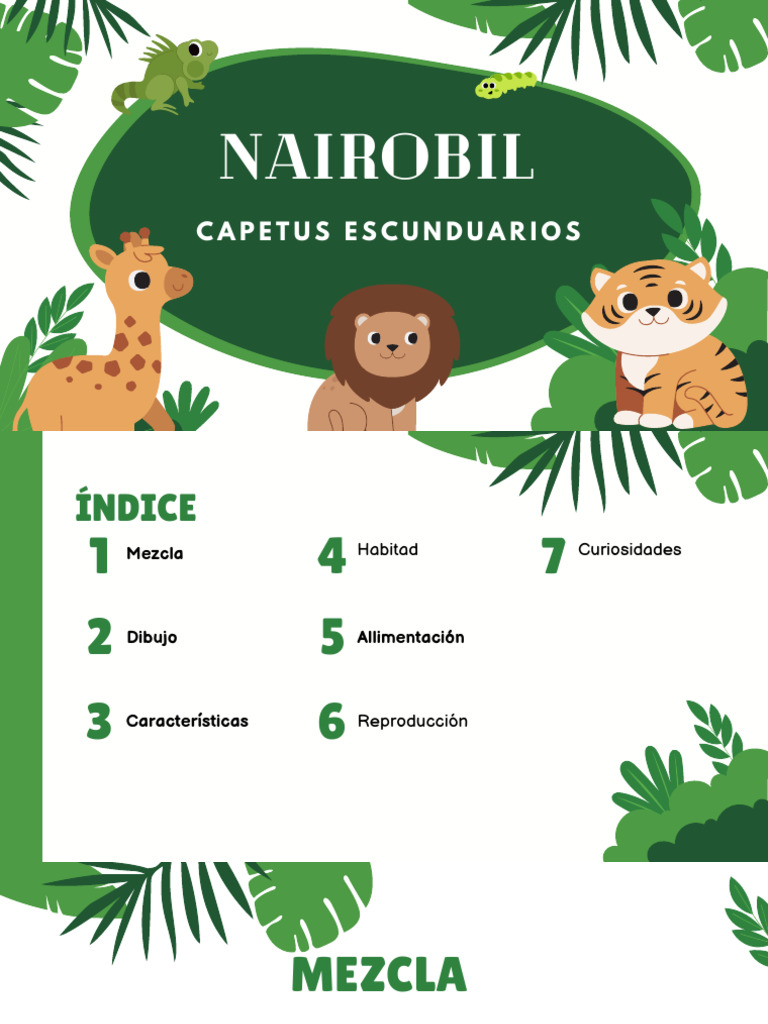 Presentacion Juego de Animales Infantil Divertido Verde | PDF | Zoología