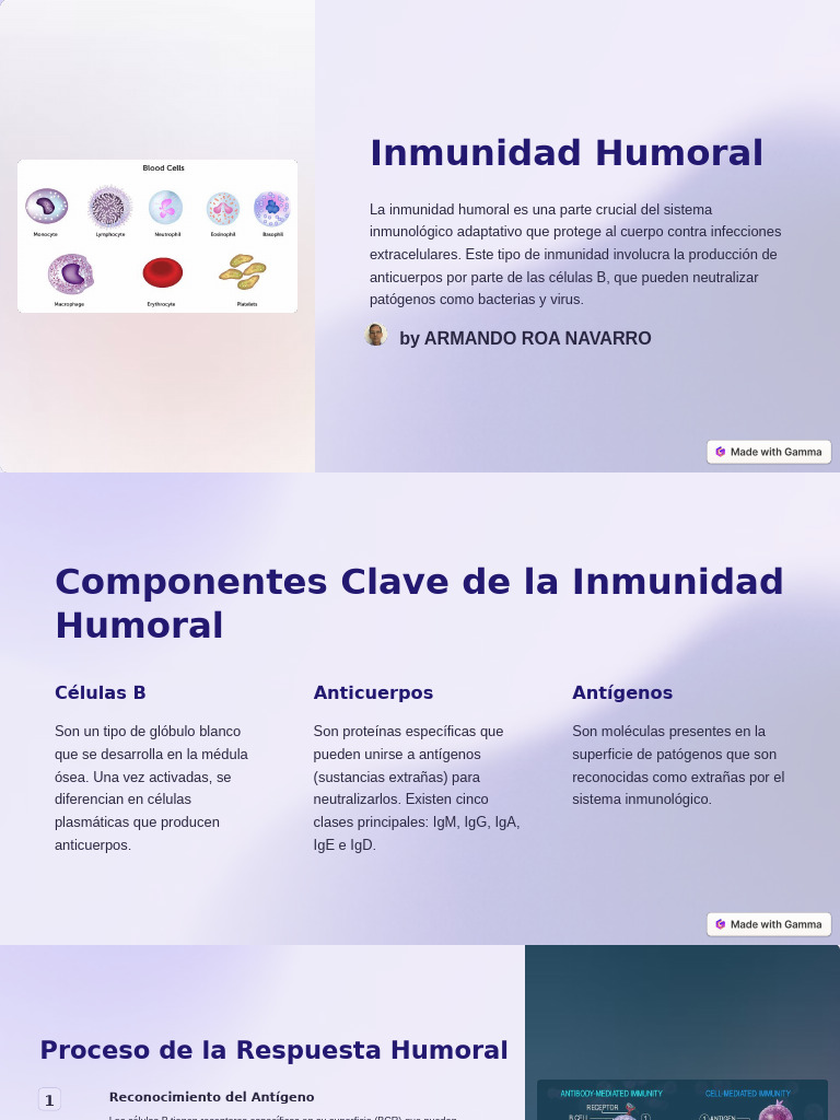 Inmunidad Humoral: Anticuerpos y Células B | PDF | Sistema inmune ...