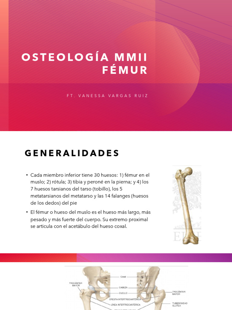 Osteologia MMII Femur, Rodilla, Tibia y Perone | PDF | Rodilla ...