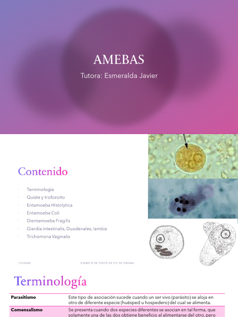 Diapositivas Sobre Amebas - Esmeralda Javier | PDF | Parasitismo | Microbiología