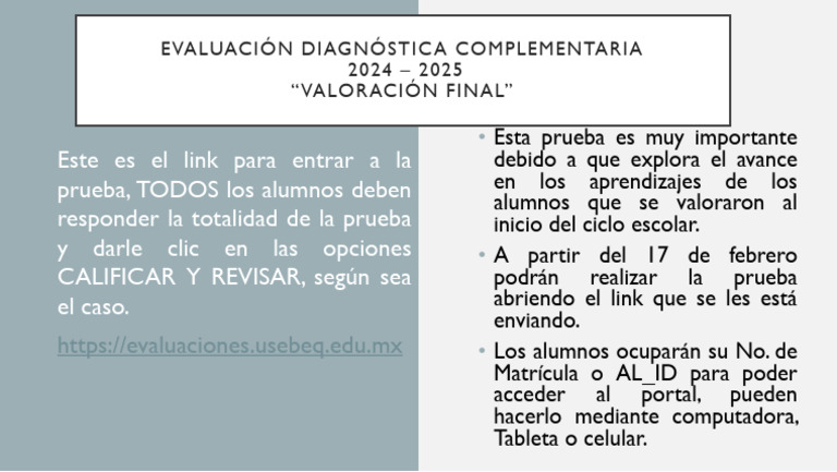 Evaluación Diagnóstica Complementaria 2025 | PDF