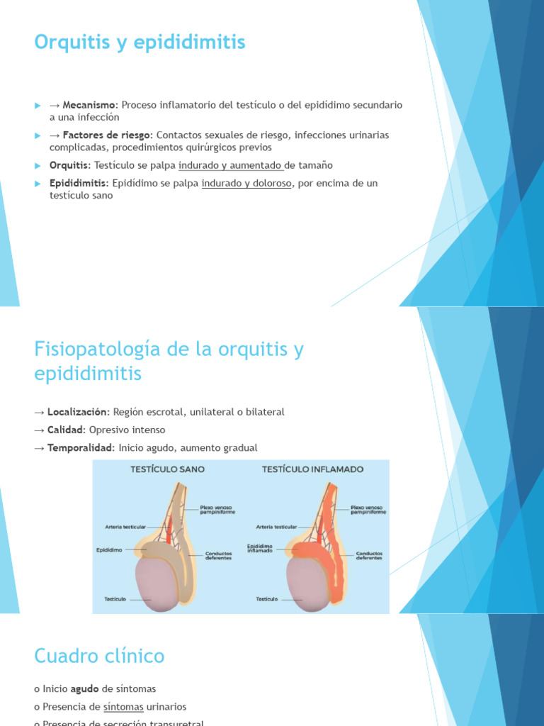 Orquitis y Epididimitis: Síntomas y Tratamiento | PDF