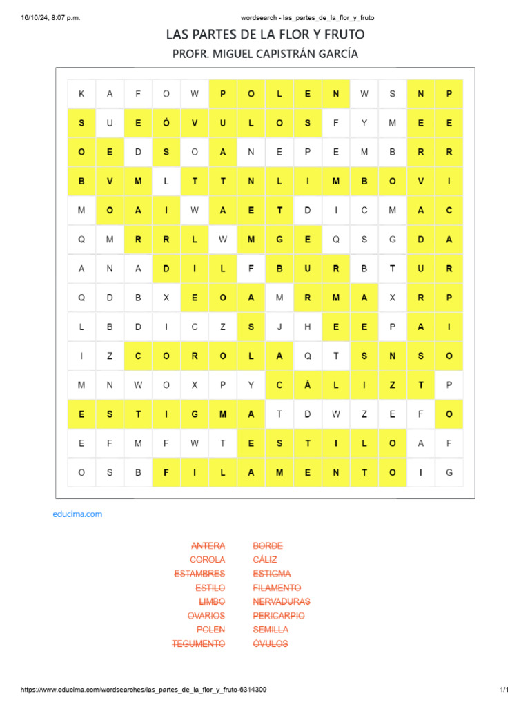 Las Partes de La Flor Sopa de Letras Respuestas | PDF