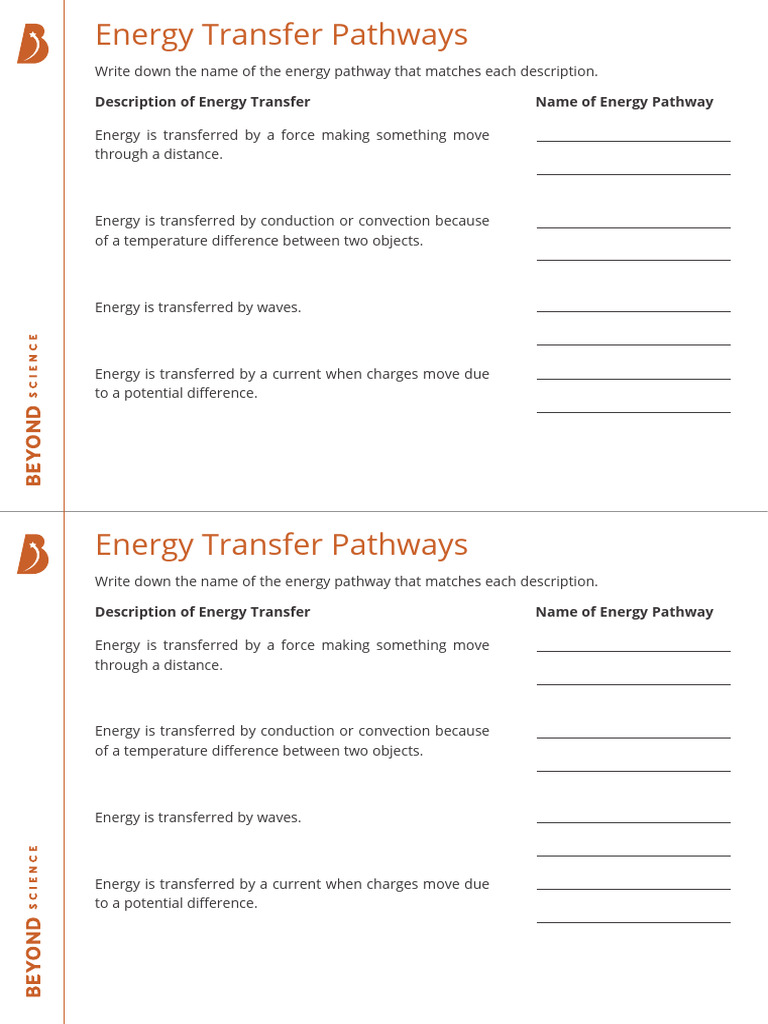 Naming Energy Transfers Worksheet | PDF