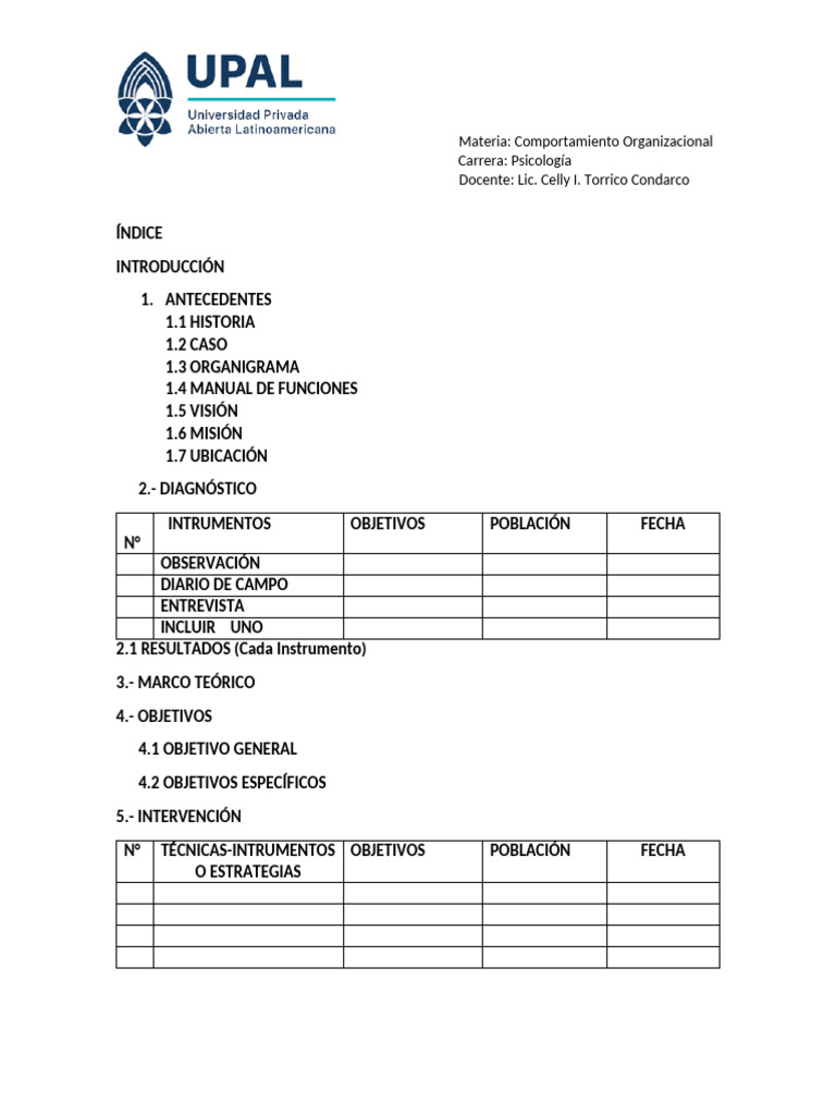 FORMATO PLAN | PDF