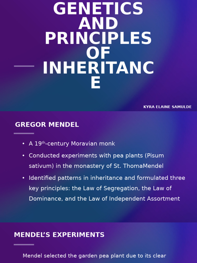 Kyra Elaine Gen Bio Report | PDF | Dominance (Genetics) | Zygosity