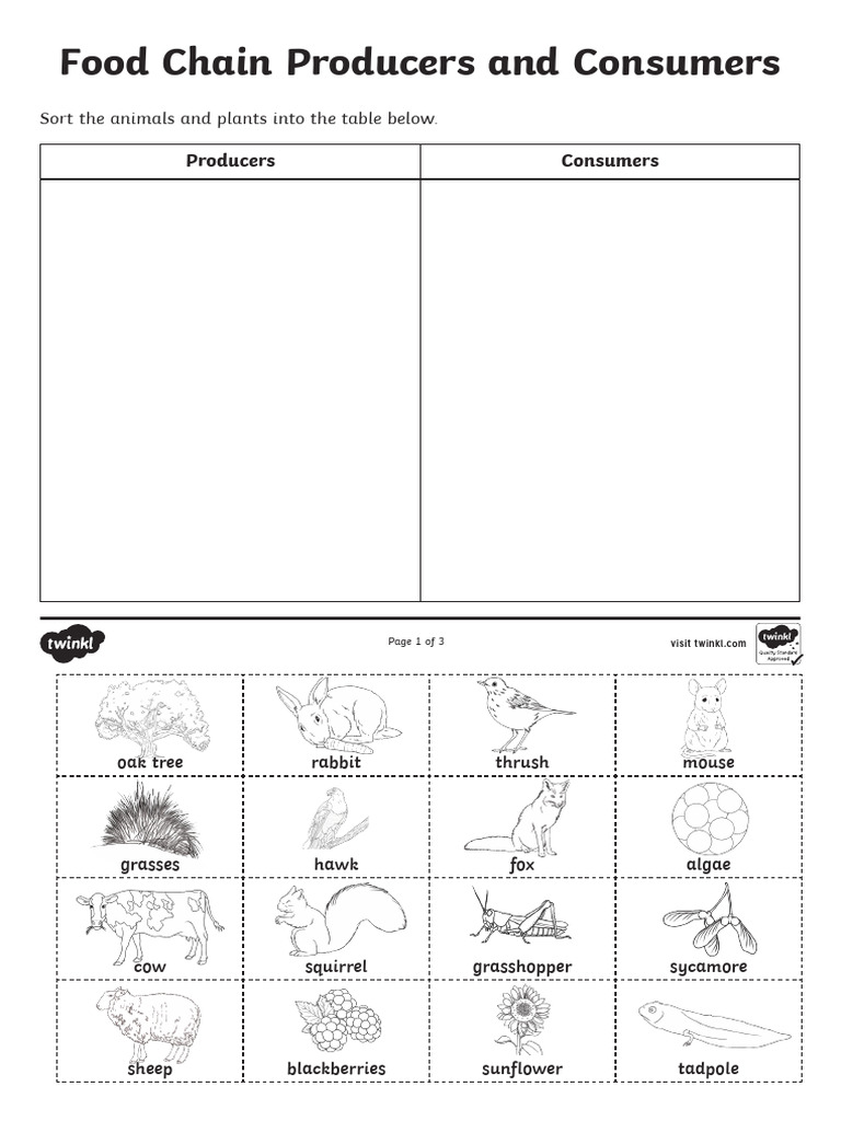 t2 s 1456 Food Chain Producers Consumers and Decomposers Sorting ...