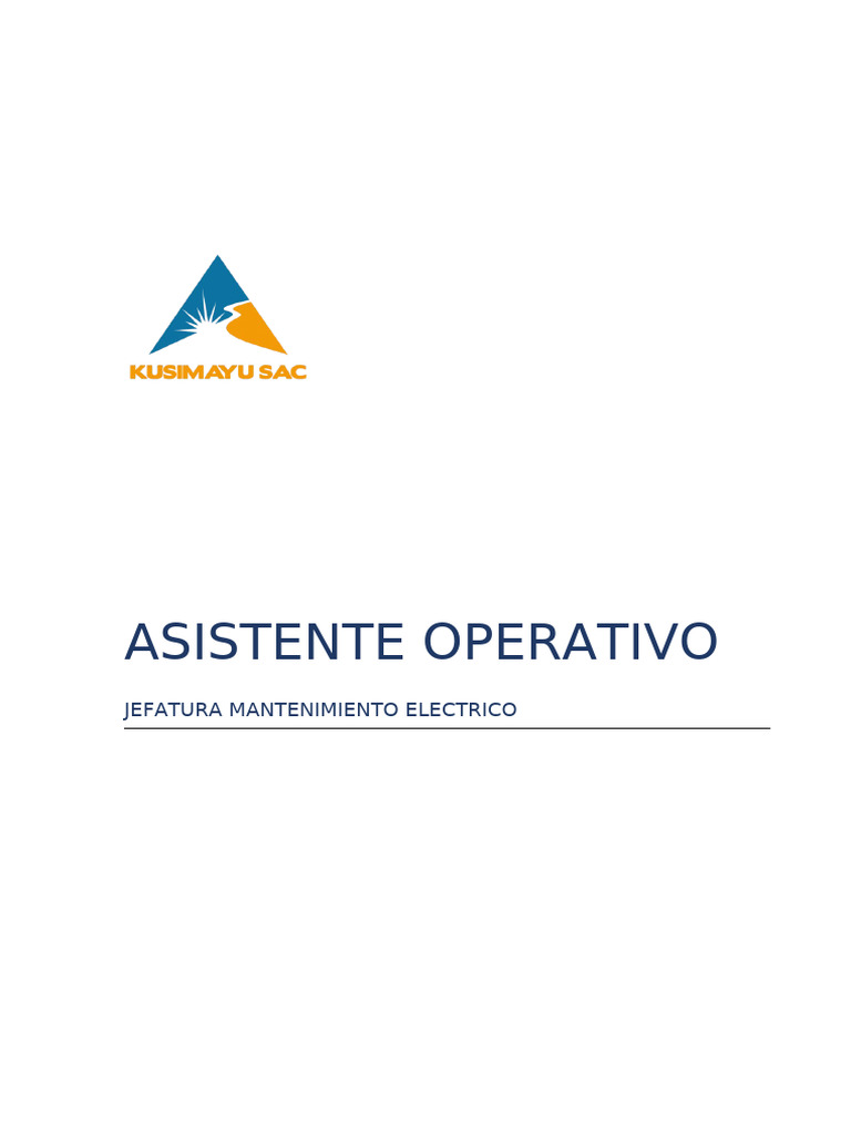 DP Asistente Operativo | PDF