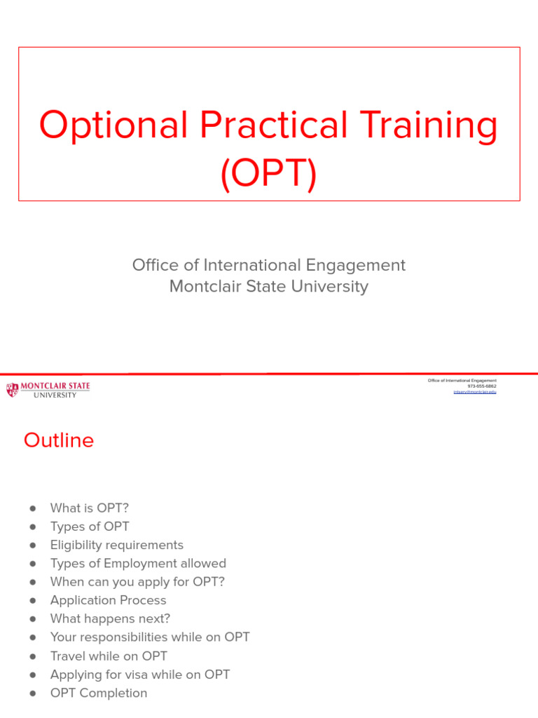 Optional Practical Training OPT Instructions - spg2020 | PDF | Travel Visa | H 1 B Visa