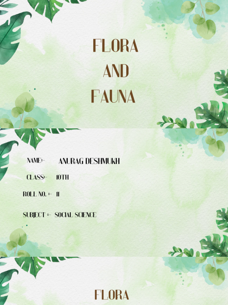 Anurag SST - PPT - 20241207 - 065835 - 0000 | PDF | Habitat | Aquatic ...