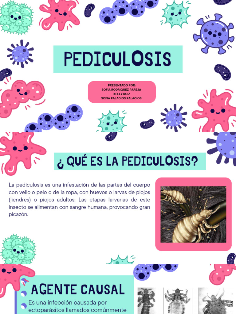 Diapositivas Sobre La Pediculosis | PDF